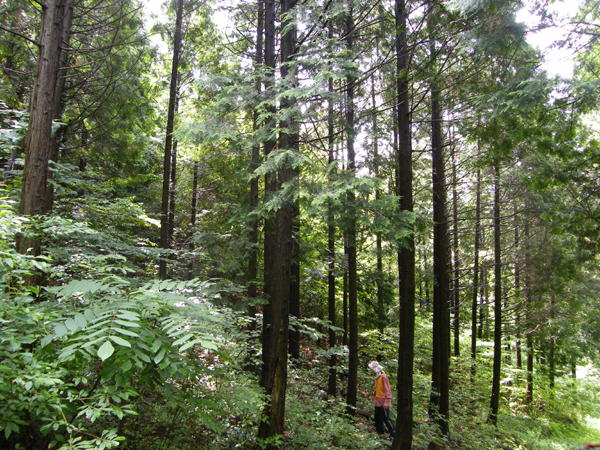 투어전북 전북문화관광